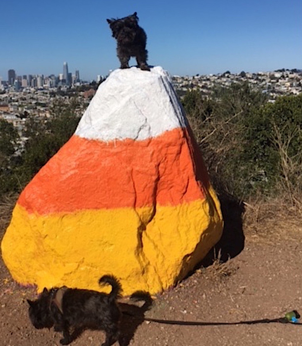 Giant Candy Corn Ushers In Arrival of Autumn | Bernalwood